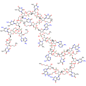 Nusinersen versus Sham Control in Infantile-Onset Spinal Muscular ...