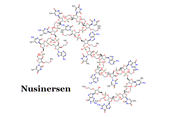 Nusinersen versus Sham Control in Infantile-Onset Spinal Muscular ...