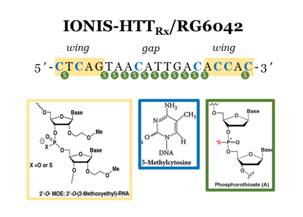 Targeting Huntingtin Expression in Patients with Huntington's Disease ...