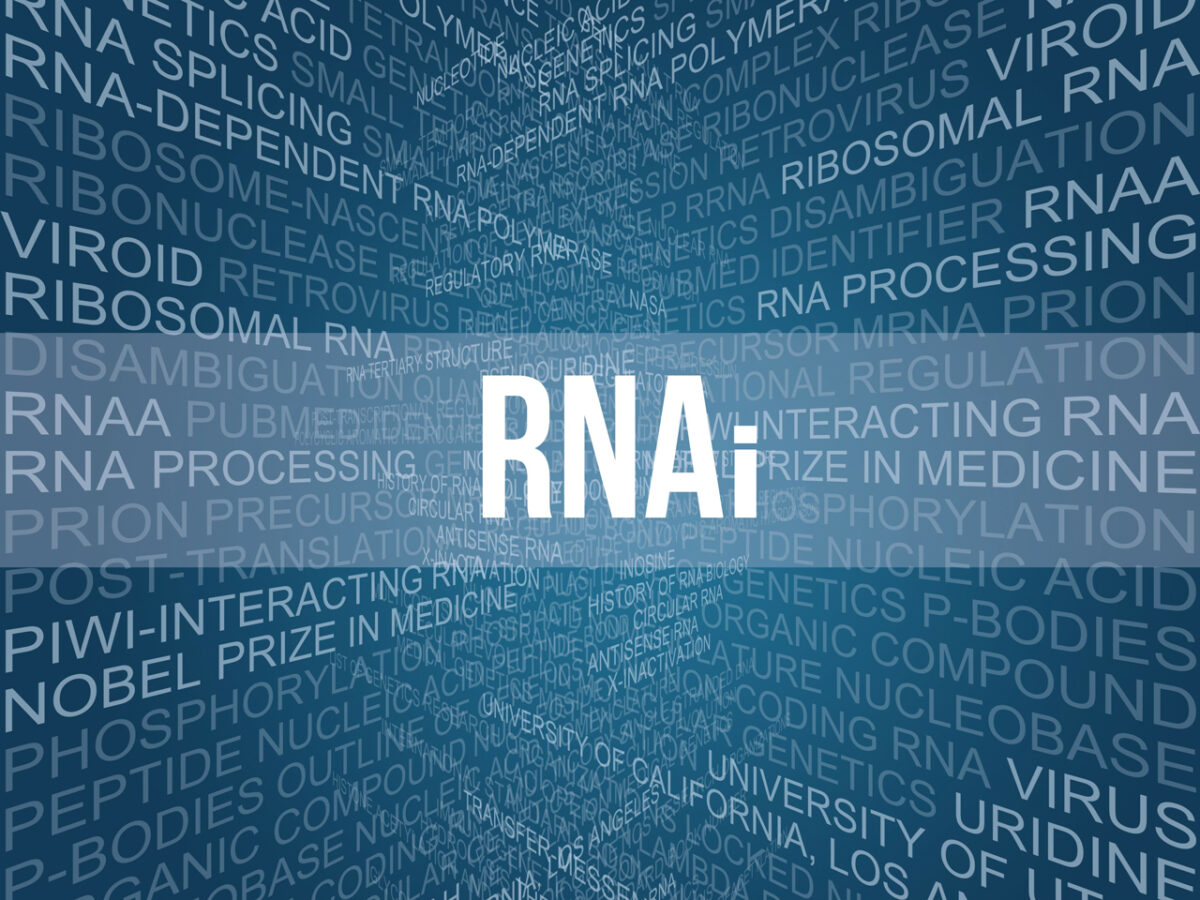 20th Anniversary of RNA Interference in Mammalian Cells ...