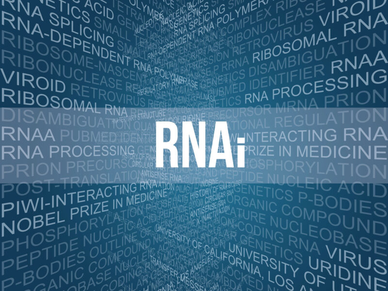20th Anniversary of RNA Interference in Mammalian Cells ...