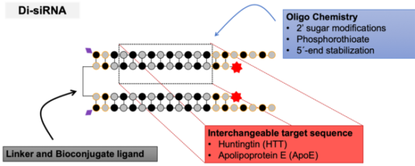 A divalent siRNA chemical scaffold for potent and sustained modulation ...