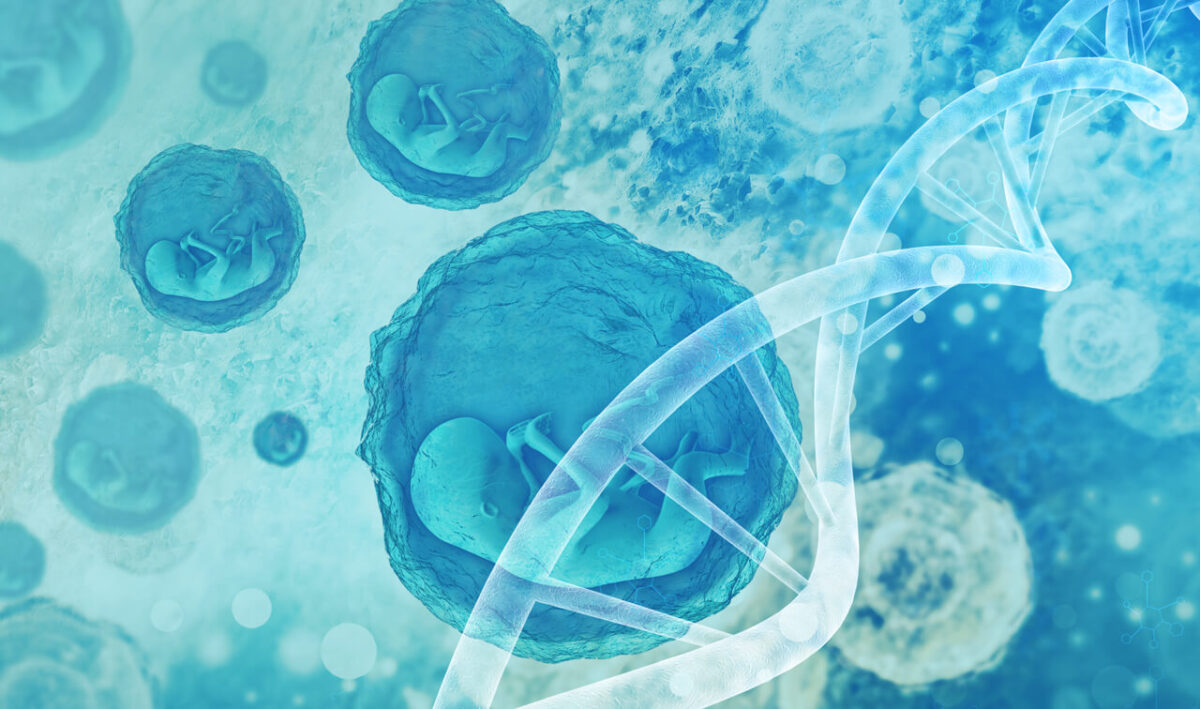 CRISPR Babies and the Scientist Behind Their Editing - Oligonucleotide ...