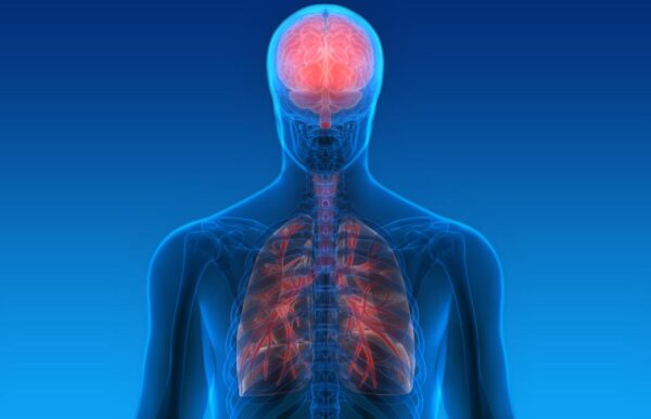 A New Conjugated siRNA provides broad delivery in the CNS, Lung, and ...