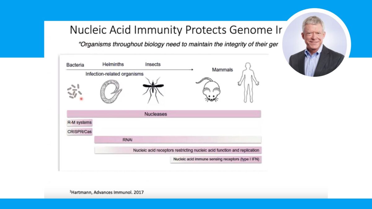 Introduction to Nucleic Acid Immunity, and It’s Implications For ...