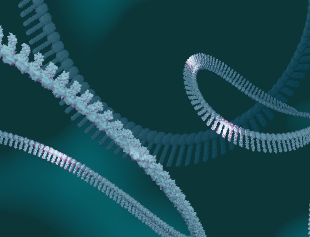 From Failure to Meet the Clinical Endpoint to U.S. Food and Drug ...